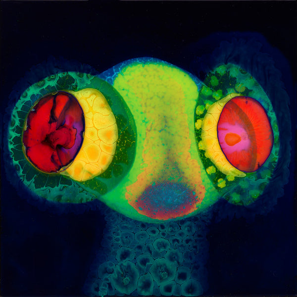 Sorcs 80 – Music Farmers